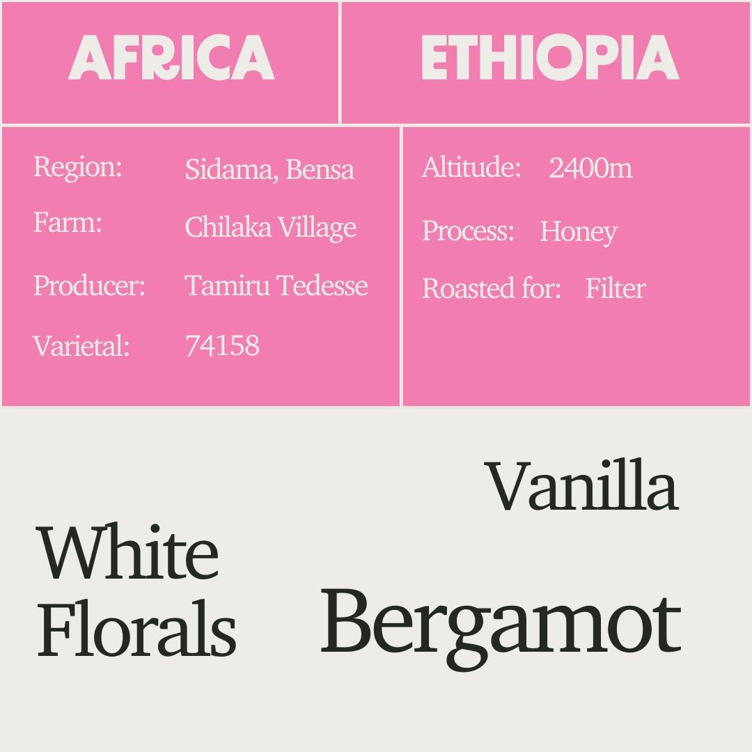 Ethiopia - Alo Chilaka Tamiru Tedesse Honey | Bad Artist Coffee Co